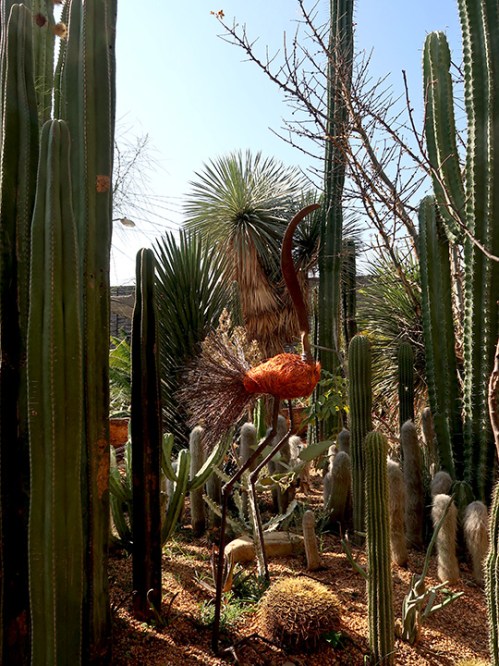 View From Casita Colibrí | gringa musings from a rooftop terrace in Oaxaca
