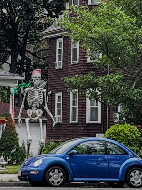 View From Casita Colibrí | gringa musings from a rooftop terrace in Oaxaca